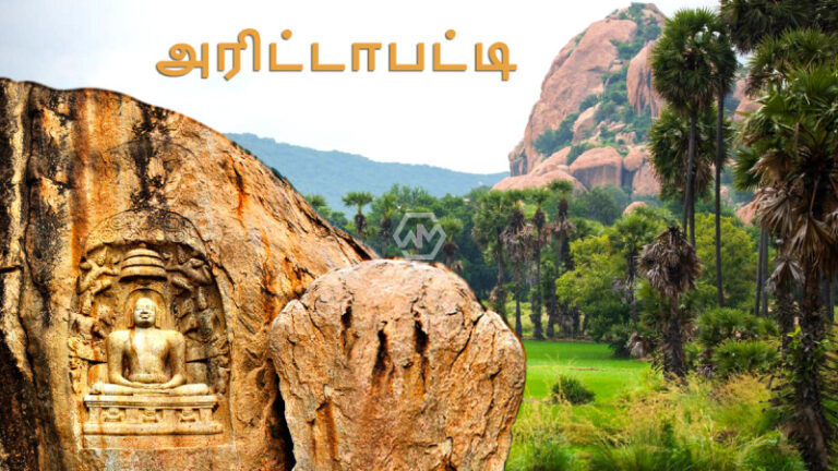 Now Arittapatti is a Biodiversity Heritage Site of Tamilnadu - WorldMagzine